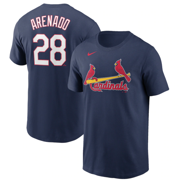 Albert Pujols St. Louis Cardinals Fanatics Authentic 700th Home Run ...