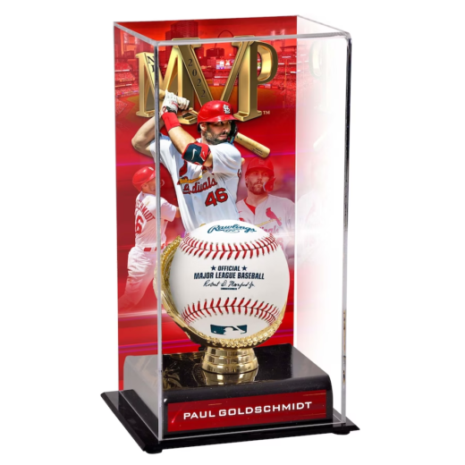 Albert Pujols St. Louis Cardinals Fanatics Authentic 700th Home Run ...